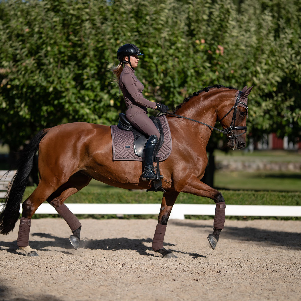 EQUESTRIAN STOCKHOLM AMARANTH – Impulsion Elite Equine Wear