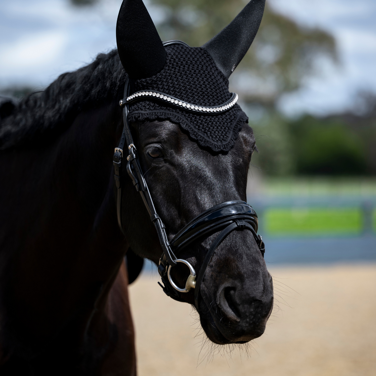 Equestrian Stockholm Padded Ear Bonnet Clean Black – Impulsion Elite ...