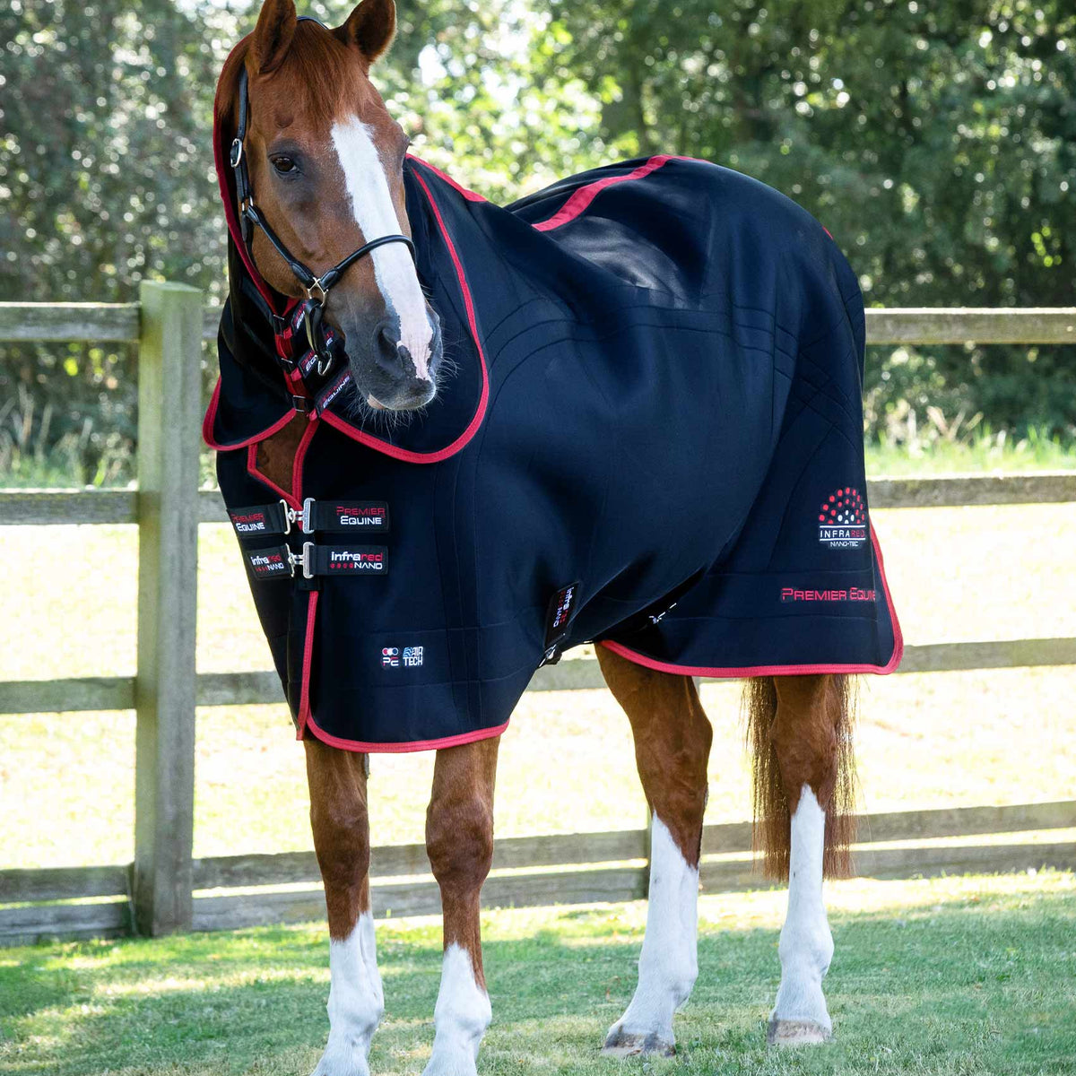 Premier Equine Nano-Tec Infrared Horse Rug Black – Impulsion Elite ...