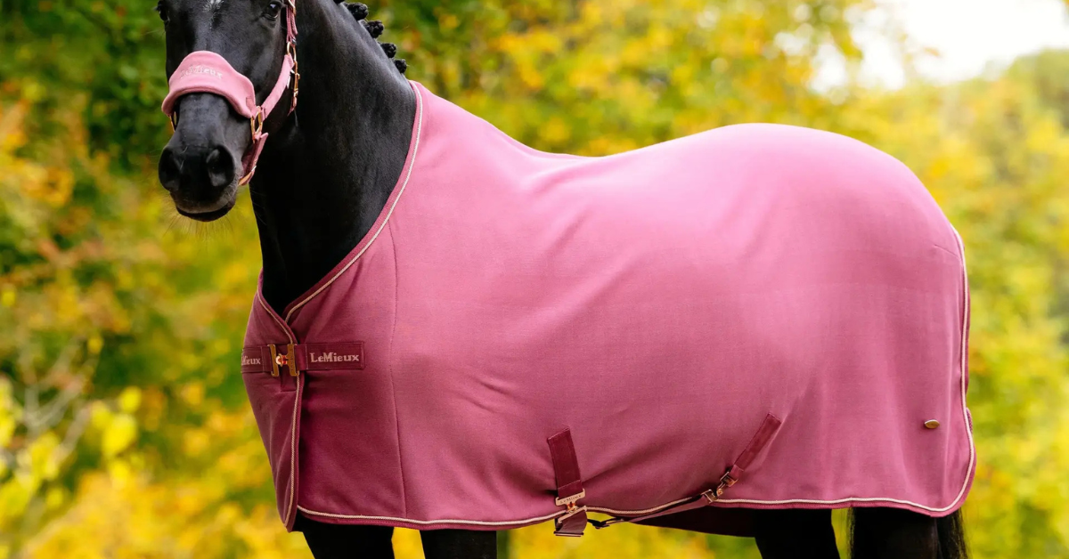 EOFY Sale – Page 3 – Impulsion Elite Equine Wear